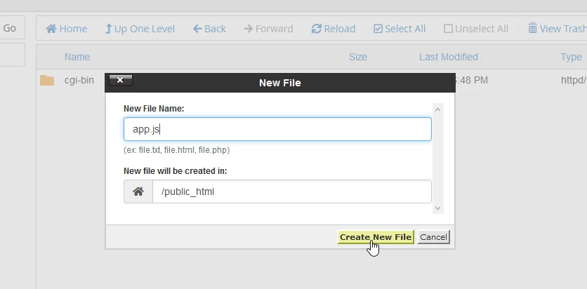 Launching a NodeJS application on VPS servers with cPanel | Hostico