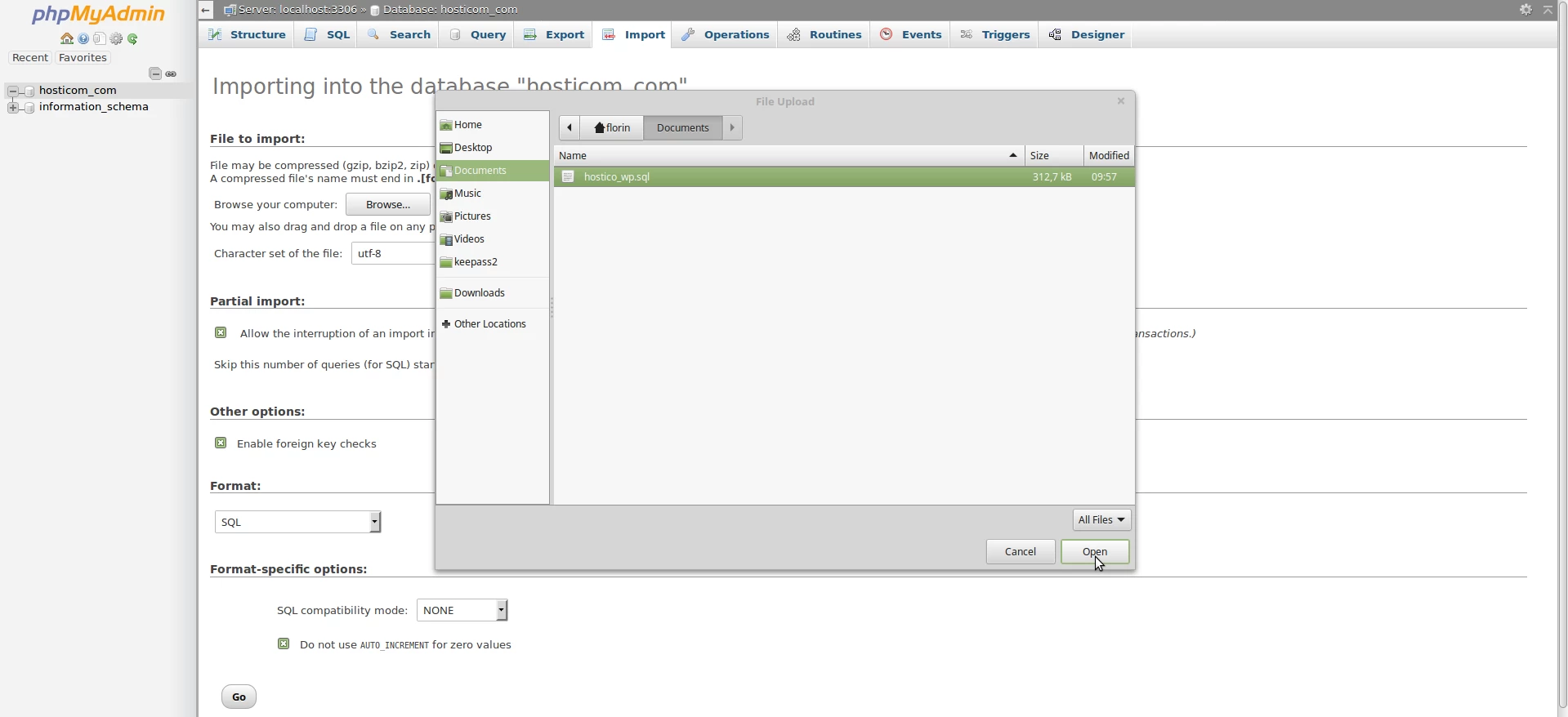 Manual WordPress migration | Hostico